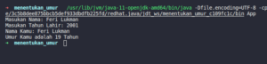 Menentukan Umur Menggunakan Java - Pesona Informatika
